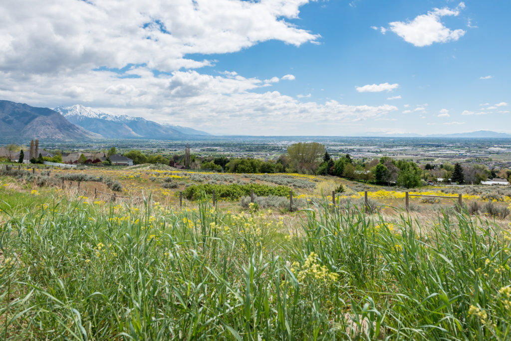 Harris Hills - Calute Homes